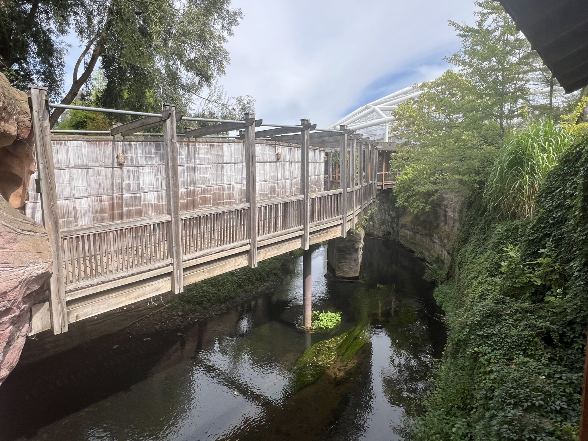 Gondwanaland im Zoo Leipzig: Erlebe den tropischen Regenwald