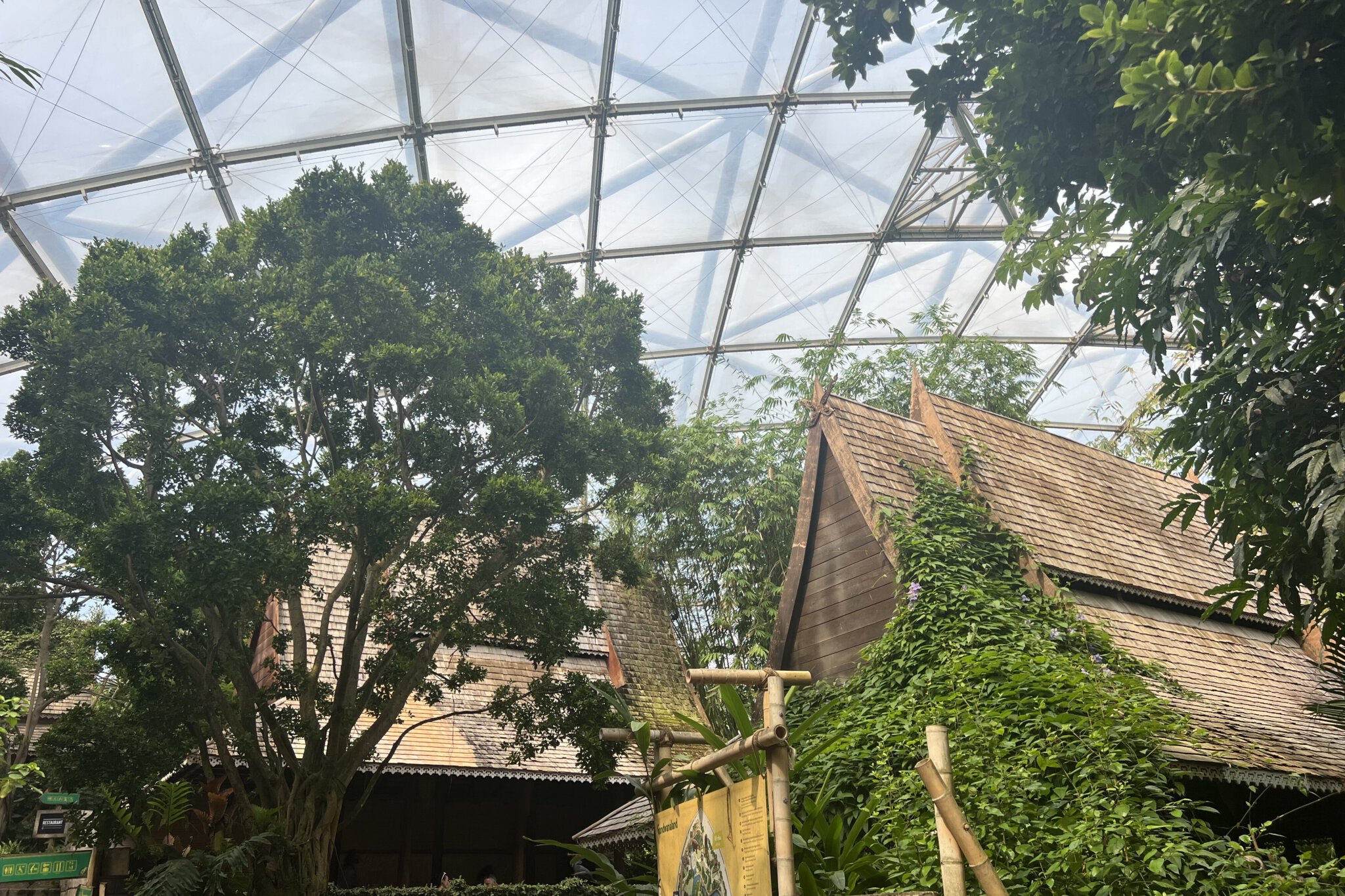 Gondwanaland im Zoo Leipzig: Erlebe den tropischen Regenwald