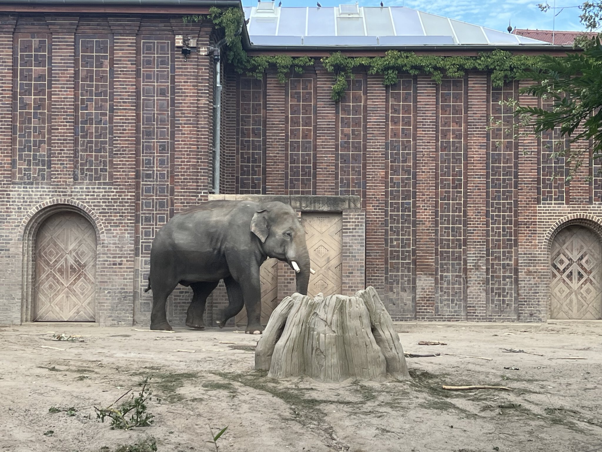 Besuch im Zoo Leipzig: Tipps und Eindrücke